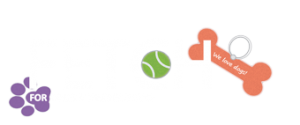FETCH Magazine • A Magazine for Dogs and Their Humans
