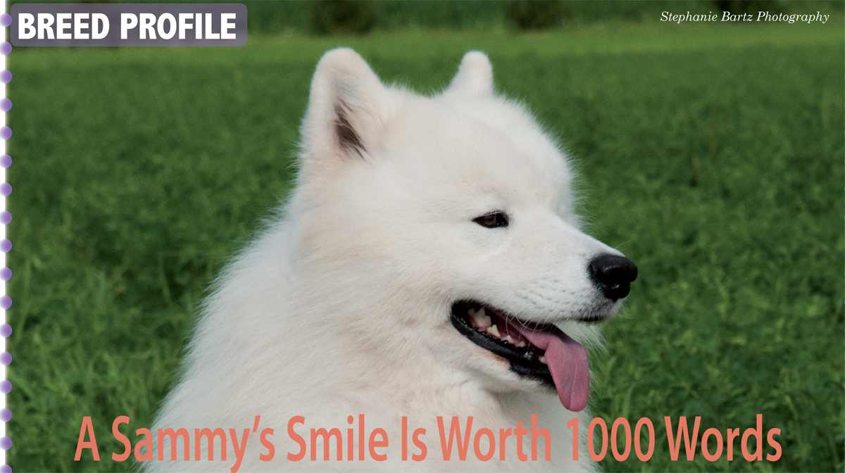 A Sammy’s Smile Is Worth 1000 Words • FETCH Magazine