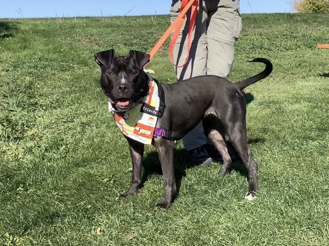 Fetch Me If You Can • Fetch Magazine