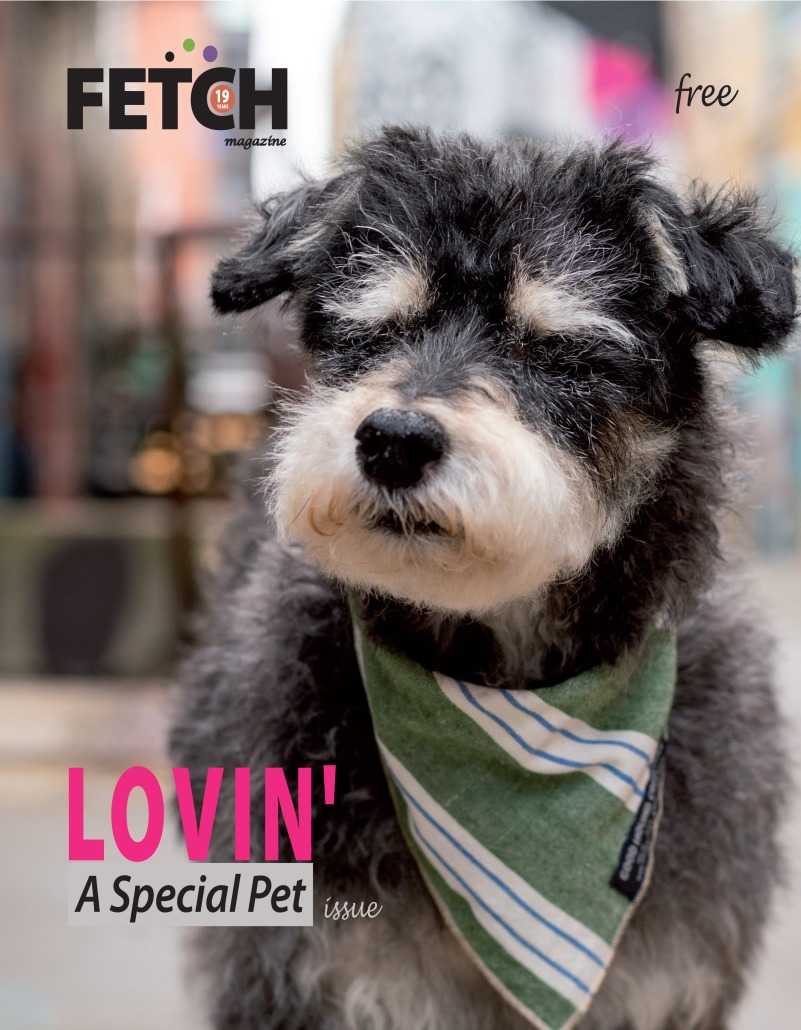 Our Issues • FETCH Magazine