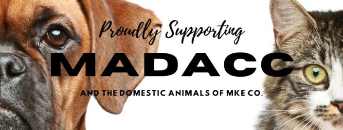 FETCH Magazine • A Magazine for Dogs and Their Humans