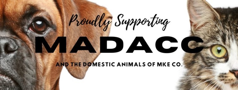 FETCH Magazine • A Magazine for Dogs and Their Humans